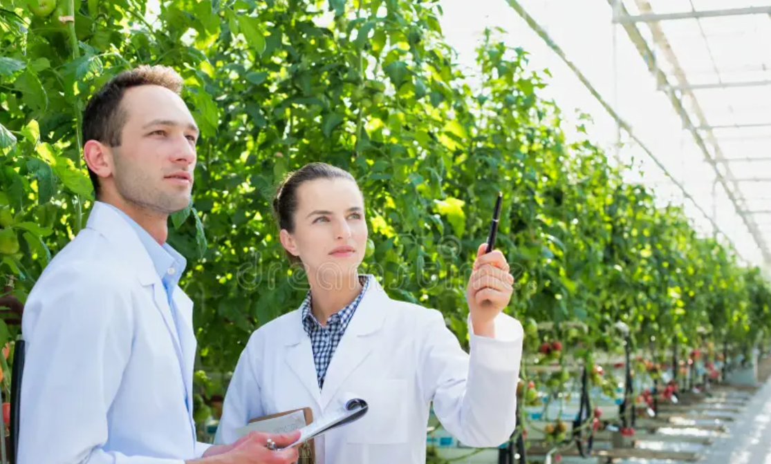 GrowPro Academy – Greenhouse Support